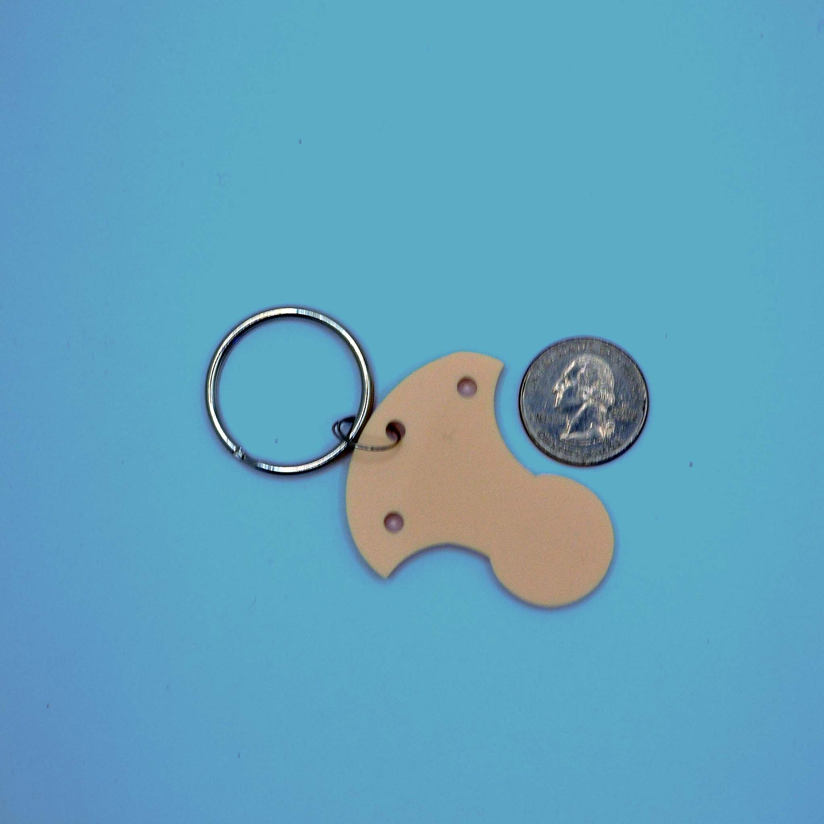 Quarter Saver Keychain